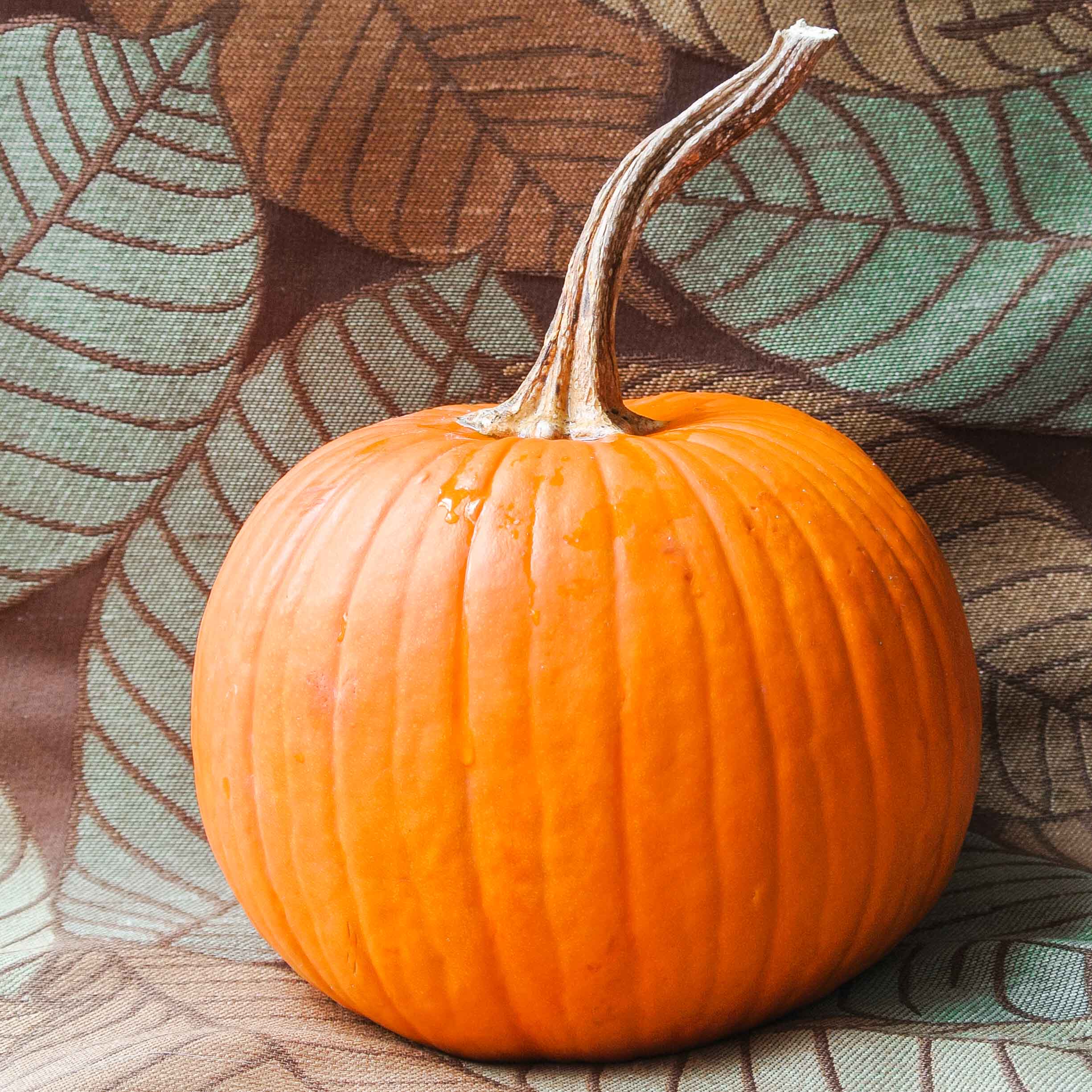How To Make Pumpkin Puree How To Make Pumpkin Puree